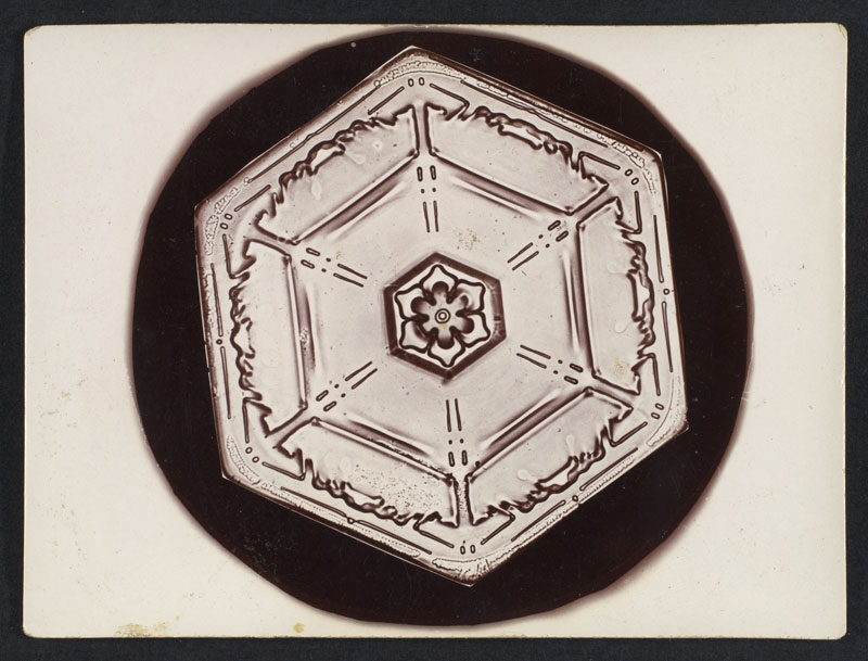 In 1885 Wilson Bentley Took the First Ever Photographs of Snowflakes ...