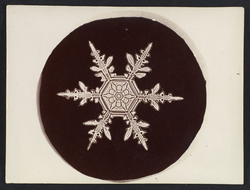 In 1885 Wilson Bentley Took the First Ever Photographs of Snowflakes ...