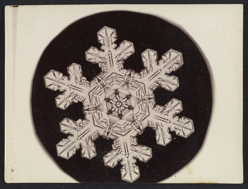 In 1885 Wilson Bentley Took the First Ever Photographs of Snowflakes ...