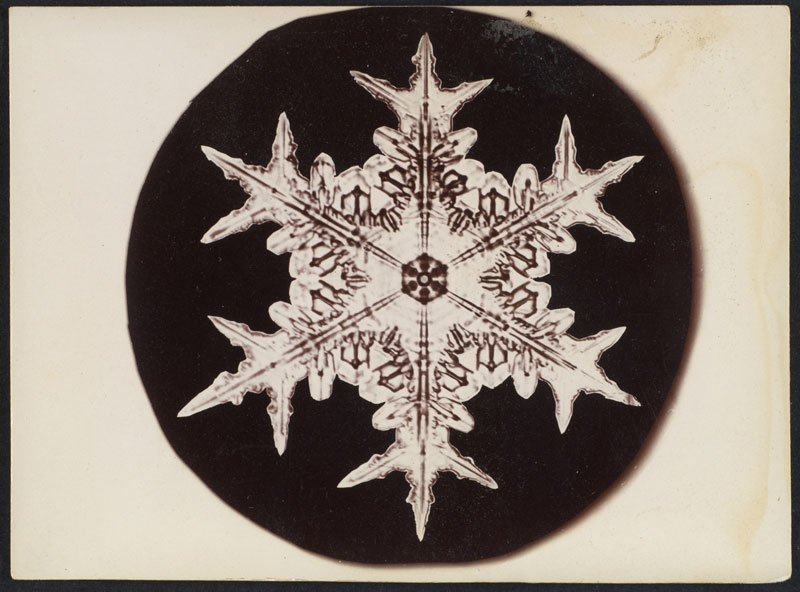 In 1885 Wilson Bentley Took the First Ever Photographs of Snowflakes ...