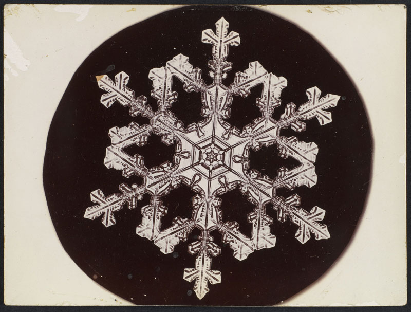 In 1885 Wilson Bentley Took the First Ever Photographs of Snowflakes ...