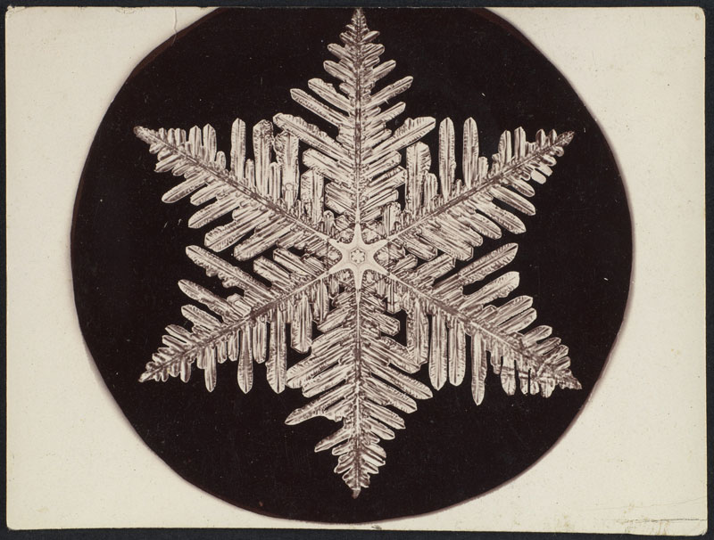 In 1885 Wilson Bentley Took the First Ever Photographs of Snowflakes ...