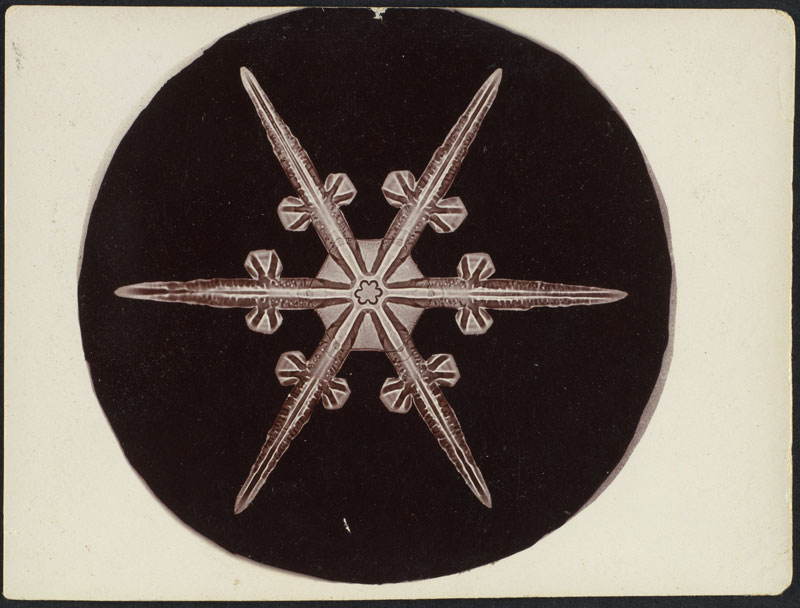In 1885 Wilson Bentley Took the First Ever Photographs of Snowflakes ...