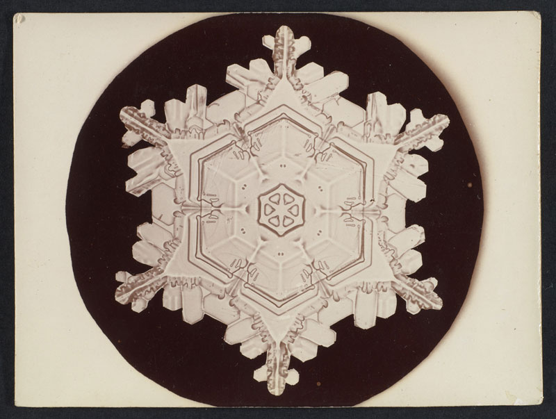 In 1885 Wilson Bentley Took the First Ever Photographs of Snowflakes ...