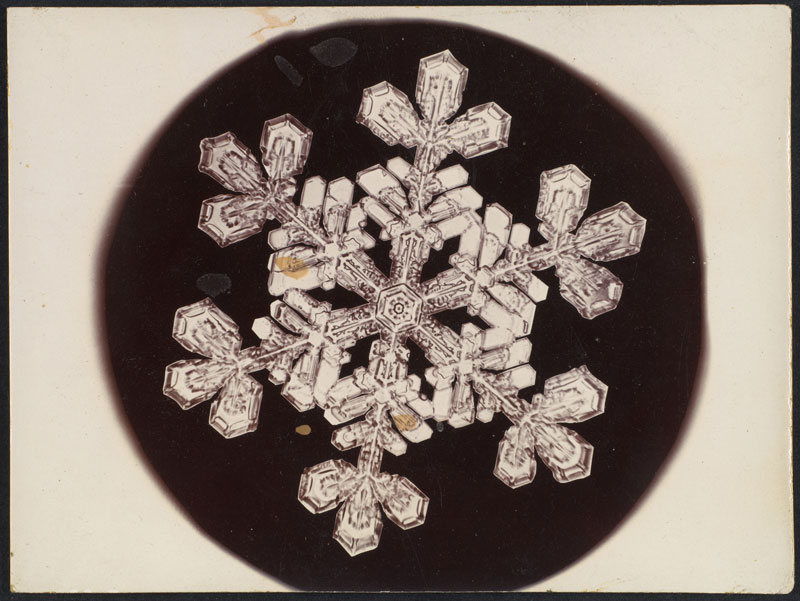 In 1885 Wilson Bentley Took the First Ever Photographs of Snowflakes ...