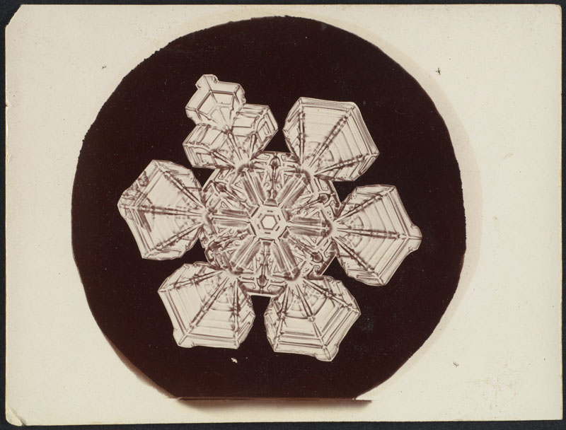 In 1885 Wilson Bentley Took the First Ever Photographs of Snowflakes ...