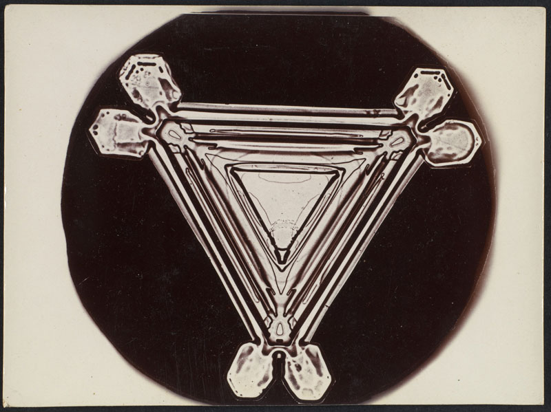 In 1885 Wilson Bentley Took the First Ever Photographs of Snowflakes ...