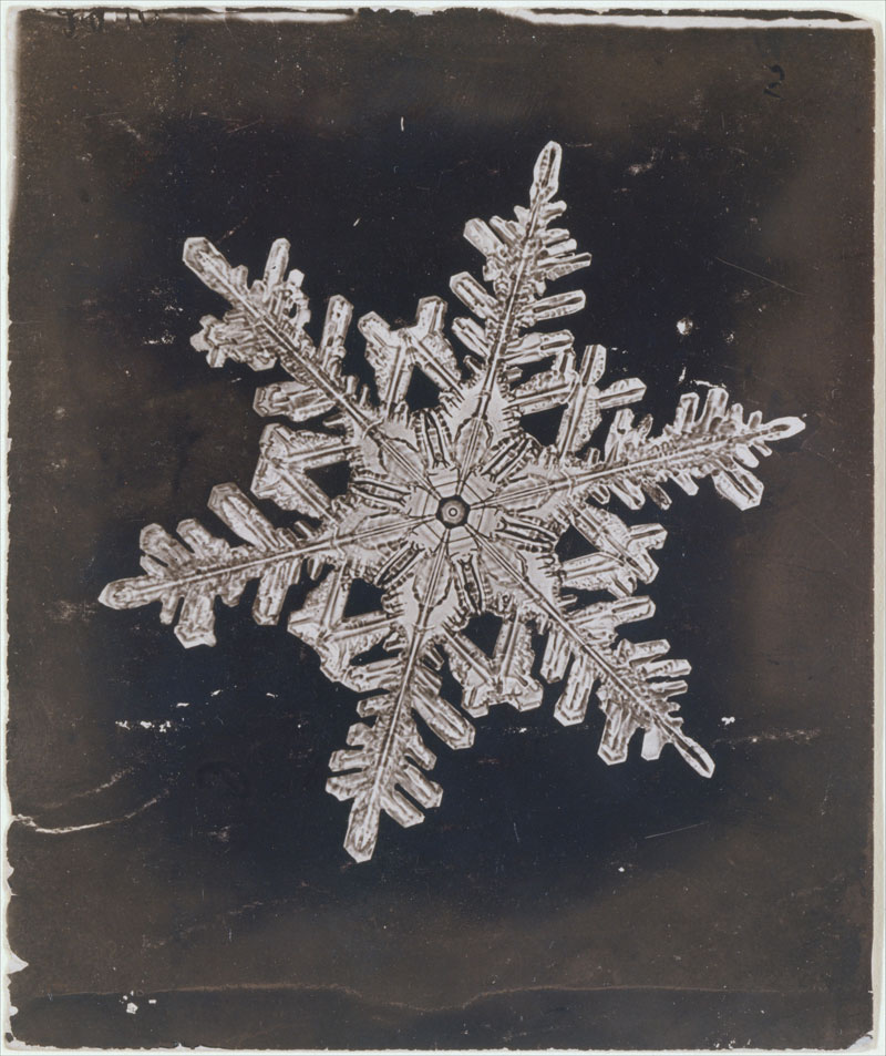 In 1885 Wilson Bentley Took the First Ever Photographs of Snowflakes ...