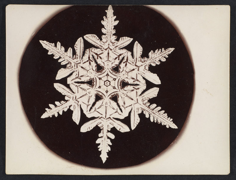In 1885 Wilson Bentley Took the First Ever Photographs of Snowflakes ...