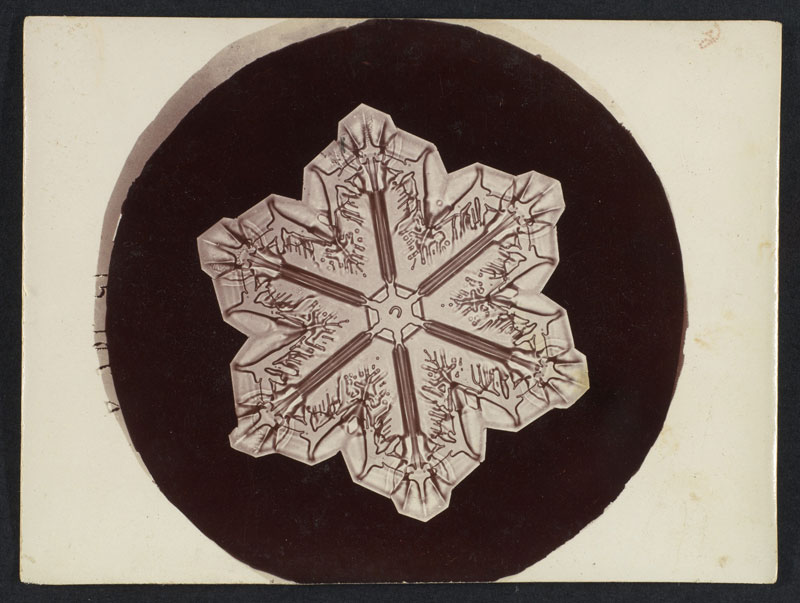 In 1885 Wilson Bentley Took the First Ever Photographs of Snowflakes ...