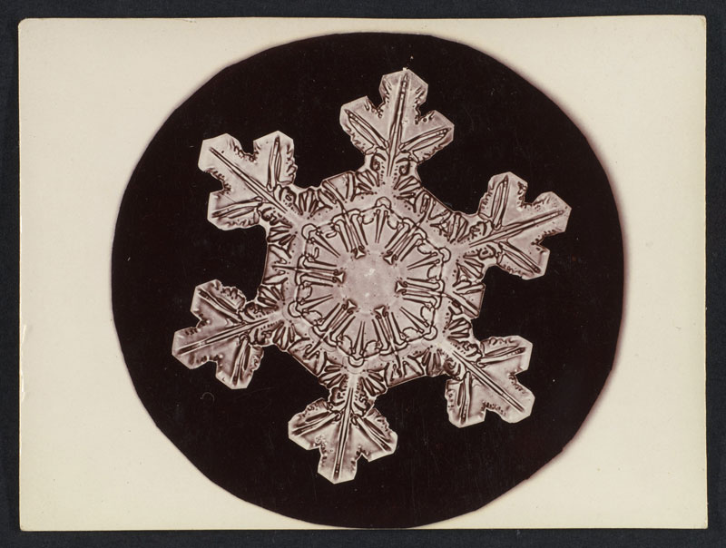 In 1885 Wilson Bentley Took the First Ever Photographs of Snowflakes ...