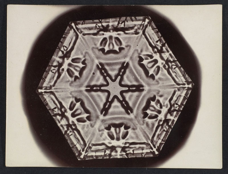 In 1885 Wilson Bentley Took the First Ever Photographs of Snowflakes ...
