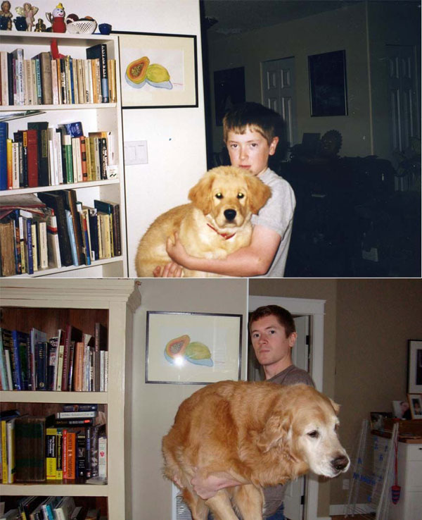 18 ‘Then and Now’ Photos of Puppies/Dogs That Will Restore Your Faith ...