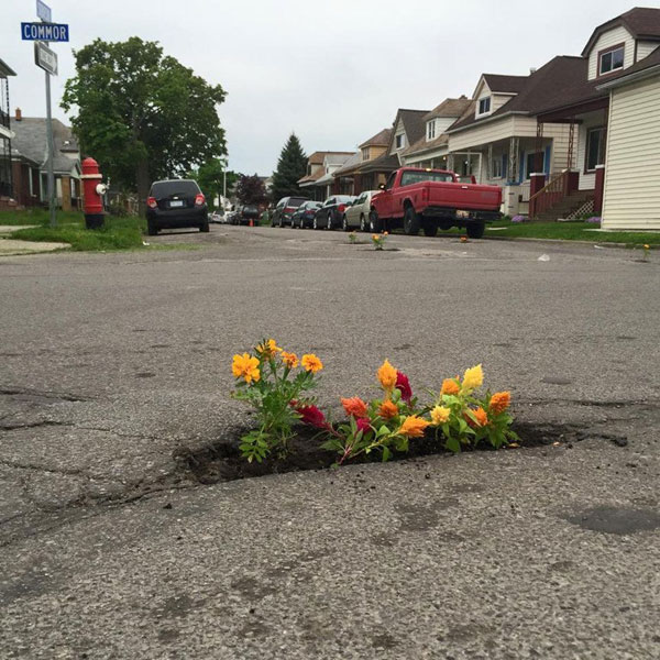 People are Planting Flowers in Potholes Because Cities Aren’t Fixing ...