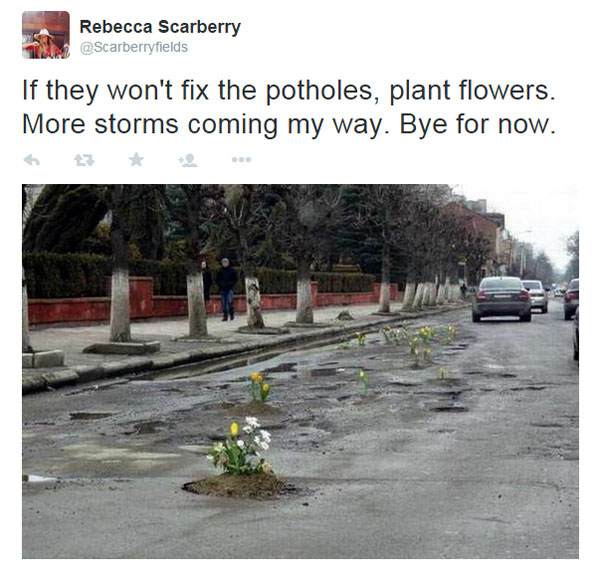 People are Planting Flowers in Potholes Because Cities Aren’t Fixing ...