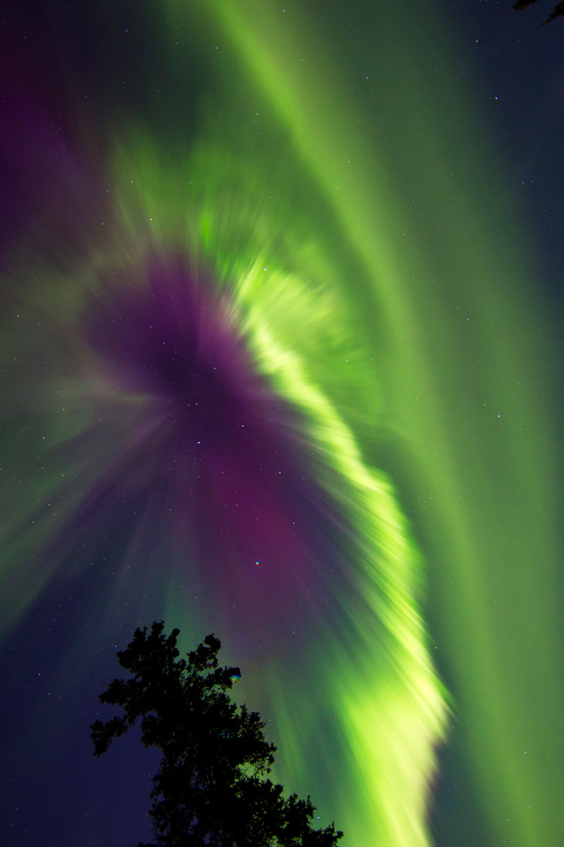 The 33 Best Aurora Photos NASA Has Ever Featured - TwistedSifter