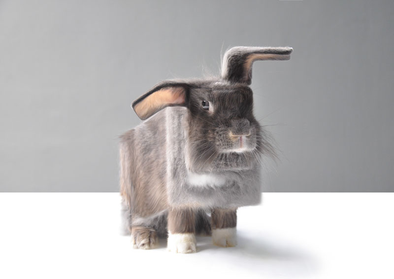 Artists Gives Real-Life Animals the Minecraft Treatment » TwistedSifter