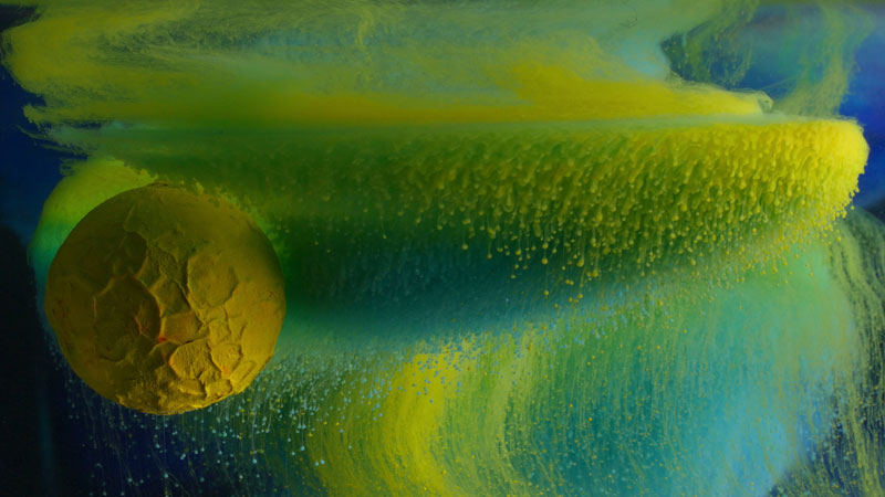 Ink in Motion 4K » TwistedSifter