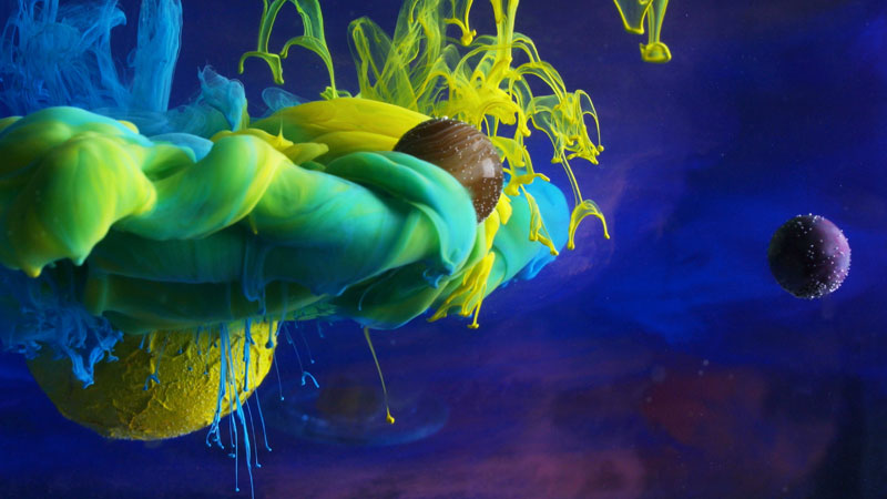 Ink in Motion 4K » TwistedSifter