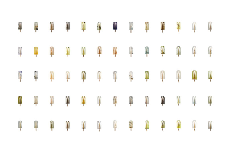 These Art Students Made 100 Popsicles from Polluted Waterways Around ...
