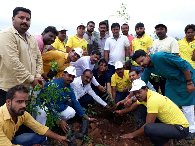 1.5m Volunteers in India Plant Record-Breaking 66 Million Trees in 12 ...