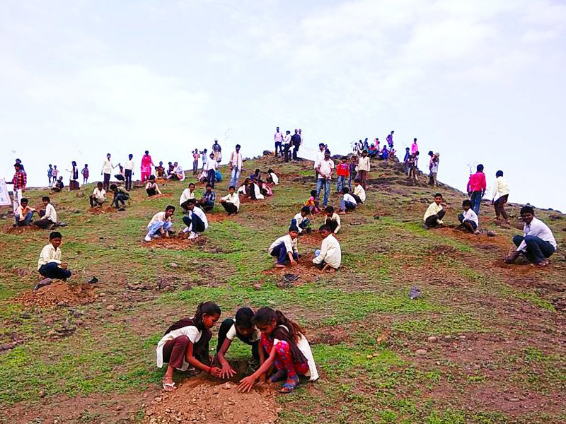 1.5m Volunteers in India Plant Record-Breaking 66 Million Trees in 12 ...