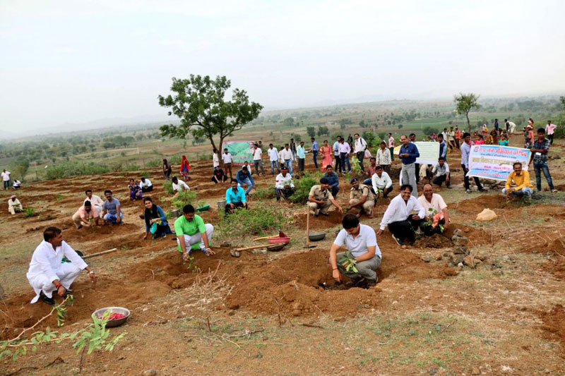 1.5m Volunteers in India Plant Record-Breaking 66 Million Trees in 12 ...