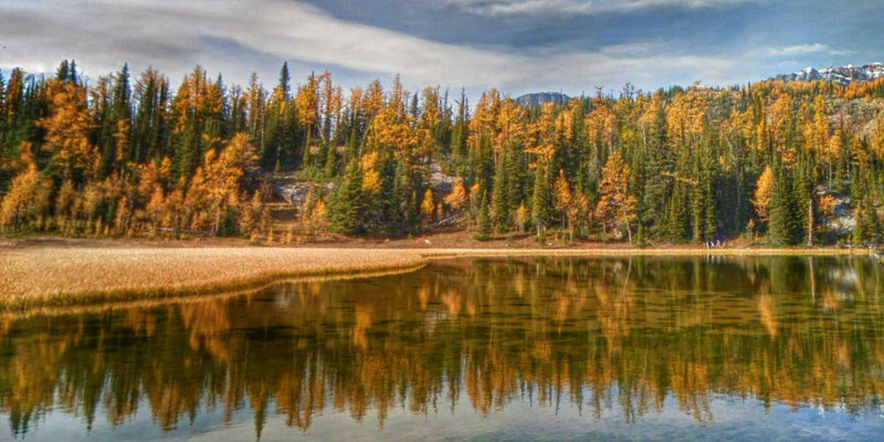 Google's AI is Teaching Itself Photography and It's Getting Pretty Good ...