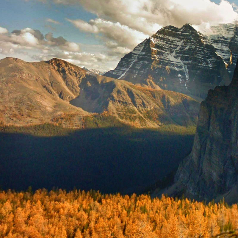 Google's AI is Teaching Itself Photography and It's Getting Pretty Good ...
