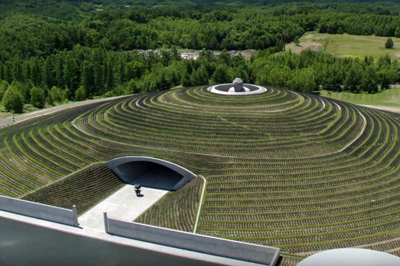 The Hidden Buddha Surrounded by a Hill of 150,000 Lavenders - TwistedSifter