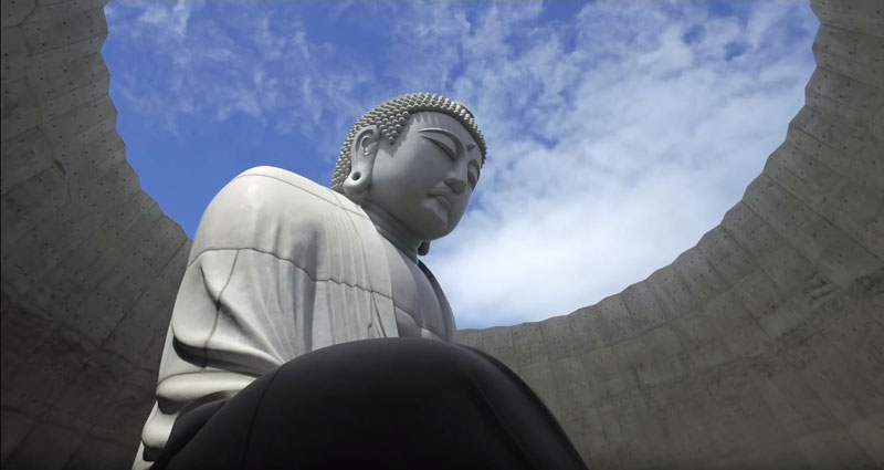The Hidden Buddha Surrounded by a Hill of 150,000 Lavenders - TwistedSifter