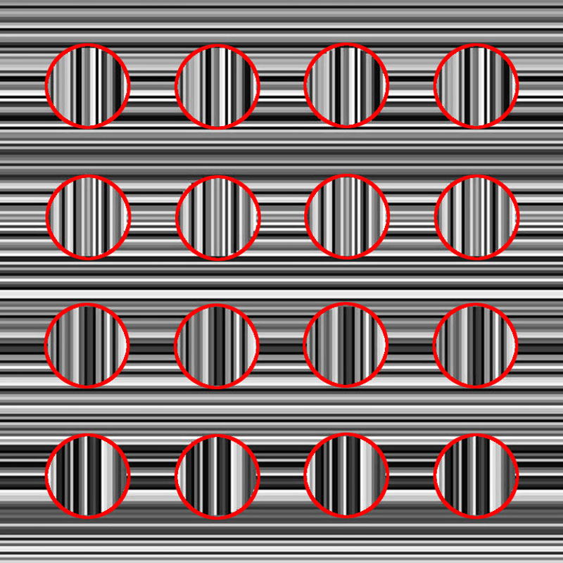 There are 16 Circles in this Image. It’s Like a Simpler ‘Magic Eye ...