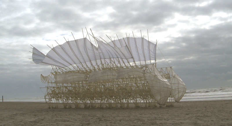 Strandbeests: The Kinetic Beach Walkers Powered by the Wind » TwistedSifter