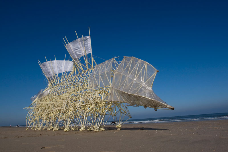 Strandbeests: The Kinetic Beach Walkers Powered by the Wind » TwistedSifter