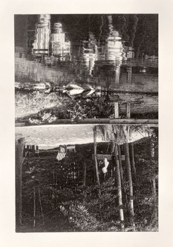 Standing by the Water but Only Their Reflections Remain (5 Photos ...