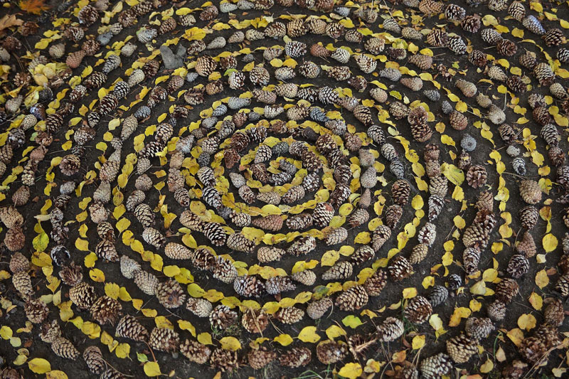 Artist Arranges Natural Objects Into Ephemeral Patterns and Designs ...