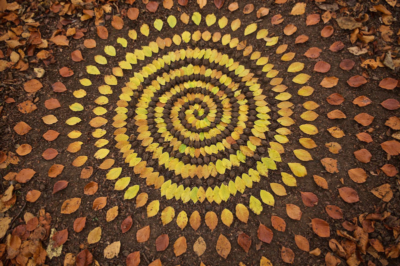 Artist Arranges Natural Objects Into Ephemeral Patterns and Designs ...