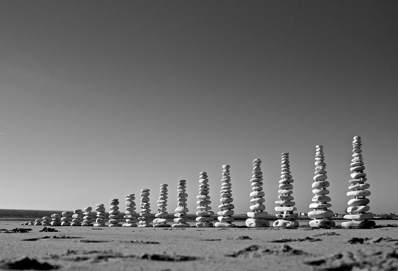 Artist Arranges Natural Objects Into Ephemeral Patterns and Designs ...