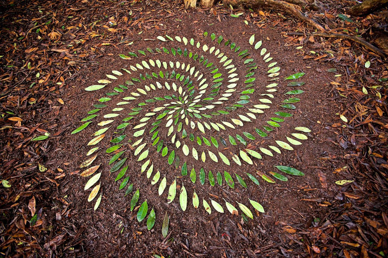 Artist Arranges Natural Objects Into Ephemeral Patterns and Designs ...