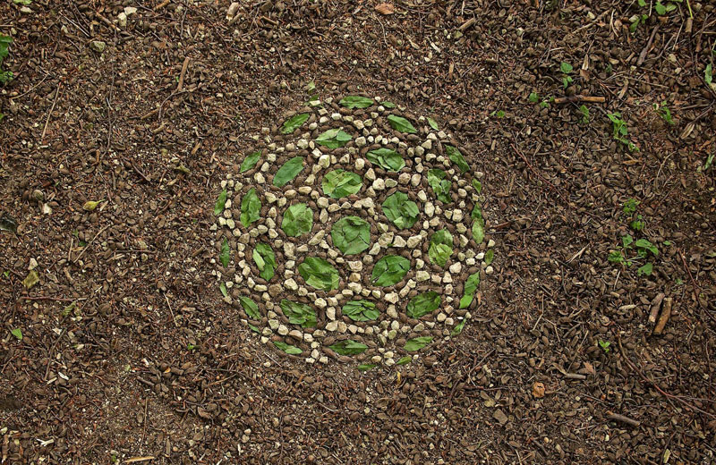 Artist Arranges Natural Objects Into Ephemeral Patterns and Designs ...