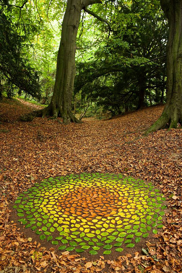 Artist Arranges Natural Objects Into Ephemeral Patterns and Designs ...