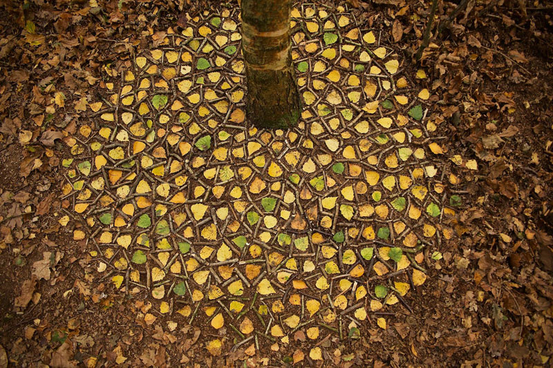 Artist Arranges Natural Objects Into Ephemeral Patterns and Designs ...