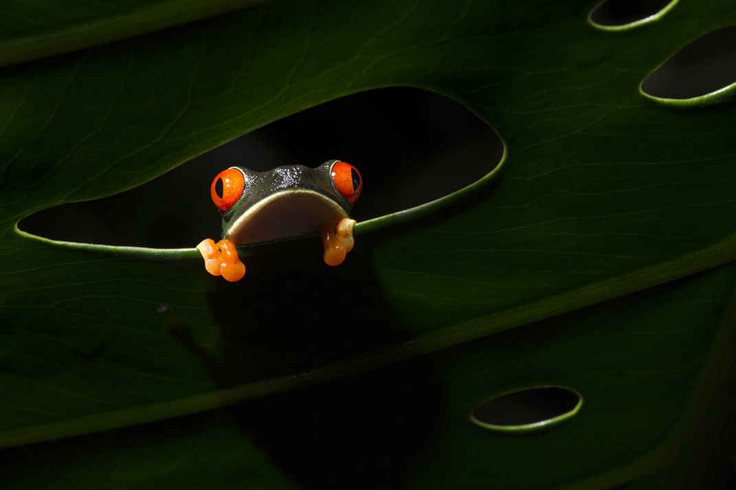 15 Amazing Finalists from the 15th Annual Smithsonian Photo Contest ...