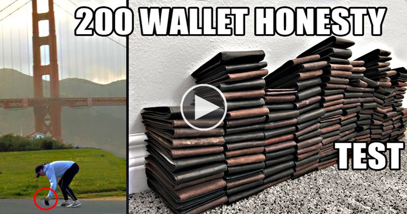 Dropping 200 Wallets Across America Produced Some Surprising Results ...