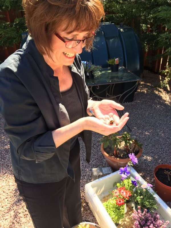 Woman Rescues Wingless Queen Bee; Builds Her a Tiny Garden to Live Out ...