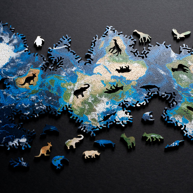 An Infinity Earth Puzzle With No Edges or Fixed Shape (12 Photos ...