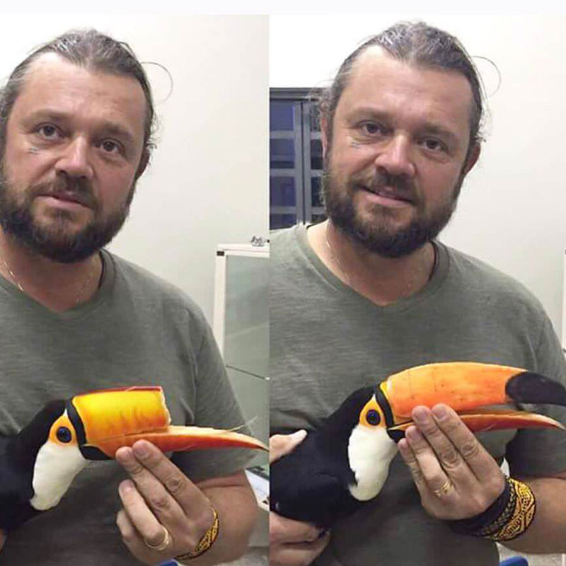Vet 3D Prints New Beak for Injured Toucan » TwistedSifter