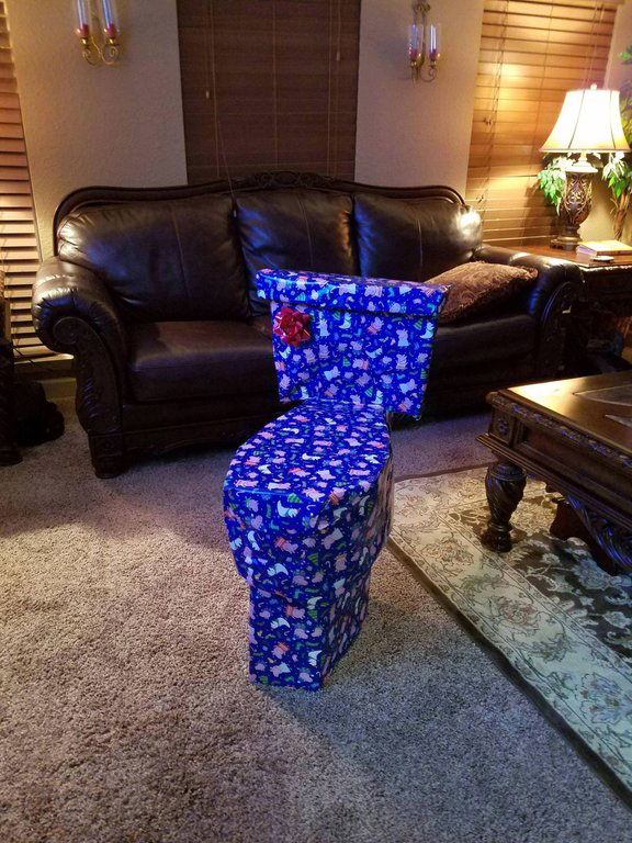People Disguising Their Christmas Gifts is My New Favorite Thing ...