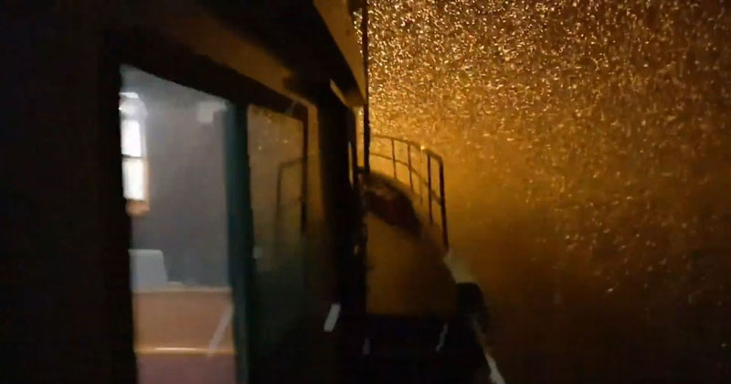 Take 30 Seconds Out of Your Day and Enjoy This Video of Snow Falling at ...