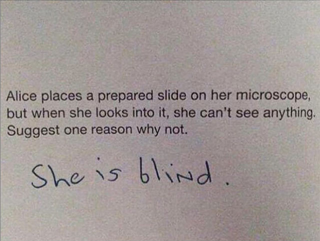 25 ‘Inspired’ Test Answers That Show The Kids Are Going To Be Alright ...